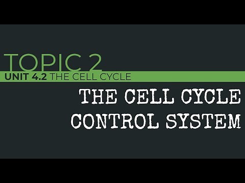 AP Biology: Cell Cycle Control System