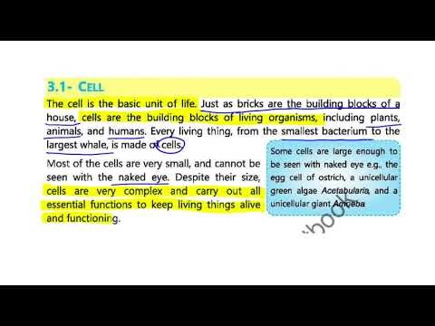 The Cell | Class 9 Biology Chapter 3 (Punjab Board)
