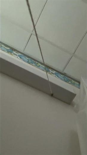 LED or fluorescent shop light ￼