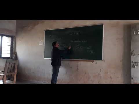 🌱 Root System in Plants | Complete Concept in One Video