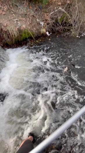 Caught some feeesh #alewives #foodthewrongway #stewstimbler77