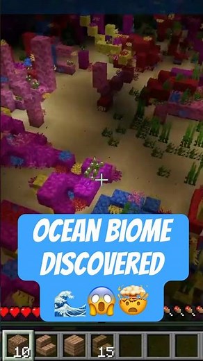 Exploring the Ocean Biome in Minecraft 🌊🐠