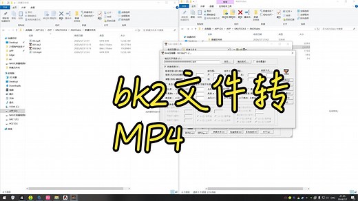 如何播放BK2格式中文版！！！