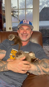 3.8M views · 10K reactions | So FREAKING Cute ❤️❤️❤️ Want To Meet Our AMAZING Animals? Book A Walkthrough SAFARI Tour NOW at AnimalEDventures.com | Animal EDventure Park & Safari | Facebook