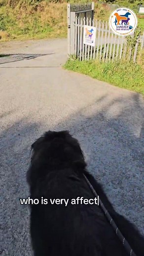 55K views · 377 reactions | A little bit of Luna 勺 Never has a...