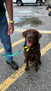 5.7K reactions · 227 comments | This is just a few of the dogs still...