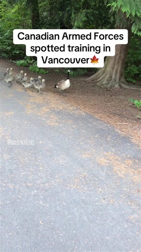 Canadian Armed Forces Training in Vancouver Highlights
