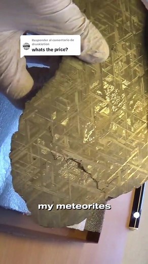 Meteorite Hunting ☄︎ on TikTok