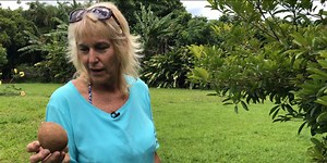 Concern grows over allegations of abuse within farm-exchange program