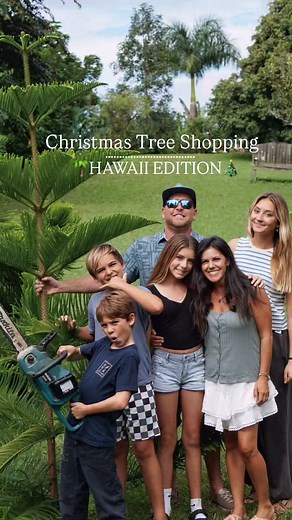 Jess Davis | Our first REAL tree farm experience and I am obsessed with our little Hawaiian Norfolk pine 🥹🌲 So cool that you cut them down from the... | Instagram