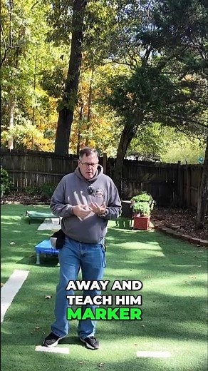 Dog Training: Using a Marker for Positive Reinforcement #shorts