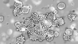 Coronavirus Virus, 3d animation Full HD