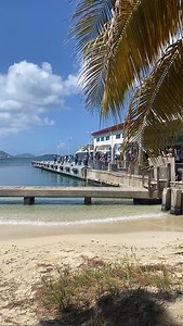 1.3K views · 1.1K reactions | Did you know High Tide is just a short walk off the ferry? So we are the perfect stop to get one last painkiller or wait for friends and family getting off the ferry! ⛴️ We are open everyday from 8am-9pm and Happy Hour is 3-5pm EVERYDAY! See you soon! | High Tide Bar & Seafood Grill | Facebook