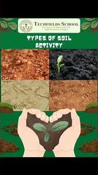 Types of Soil Explained by Grade 4 Students 🌱✨