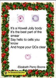 3.7K views · 76 reactions | Sing it!  Try LabTAG’s new SnapPEEL,...