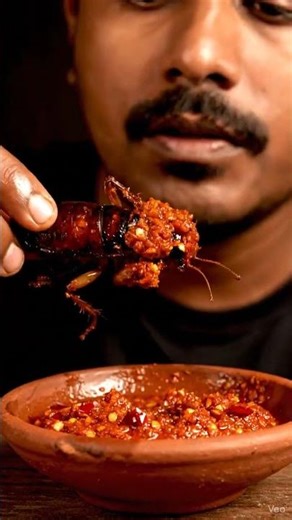 A cockroach in salt and pepper? 😱 This is a must-see!