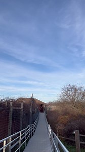 5.1K views · 274 reactions | What an incredible day of tours! (The wolves seem to agree!) Thanks to all of those who came out to visit and learn a little bit about wolves. We truly appreciated all of the thoughtful questions and discussions. We still have a few spots open for tomorrow’s 1:30 pm presentation! Book your tickets via the link in the comments. | Wolf Hollow | Facebook
