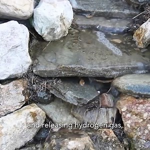 5 Crazy Science Stunts You Cant Try in School | The King of Random