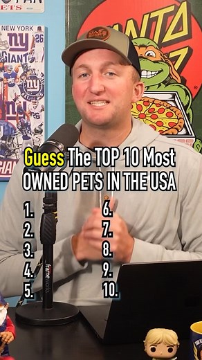 The Makeshift Project | Top 10 Most Owned Pets In The USA! #reels #pets #animals #dogs #cats #top10 #guessinggame | Instagram