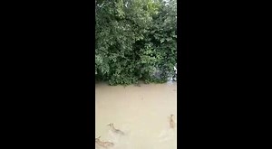 124K views · 334 reactions | Heavy rain increased the water level in...