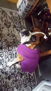 6.2K views · 429 reactions | **** FRIDAY UPDATE **** **A NOTE...