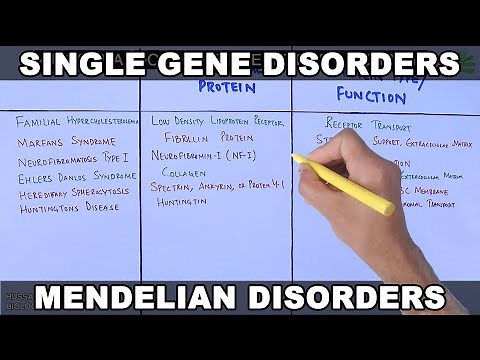 Single Gene Disorders | Mendelian Disorders