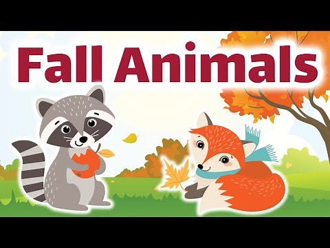 Fall Animals for Kids | Autumn Lesson Video