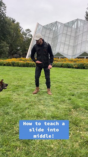 Here’s how to teach your dog to slide into middle position! It’s a lot of fun to teach! #dogtraining #dogtrainingtips #dogtrainingadvice | Jamie The Dog Trainer