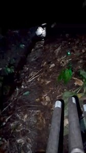 Scanning service win or lose Kung meron meron pag wala wala #viralreels | The Lost treasure