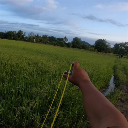 Best Slingshot Snapper With Long Rubber Band | Nak Slingshot 03