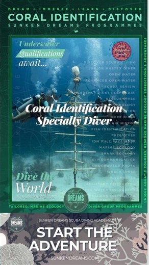 Sunken Dreams' Coral Identification Specialty Diver