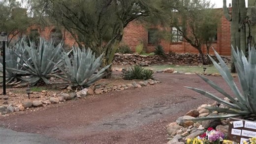 The Nancy Guthrie investigation is facing a setback. The sheriff says DNA from the gloves found near her home did not return any matches. It was processed through the FBI's DNA database, which contains more than 19 million offender samples. It also doesn't match the DNA found at the home. DNA from the property is still being analyzed. Detectives are also reviewing evidence they got through two search warrants that were executed last week. The sheriff's department says investigators are showing l