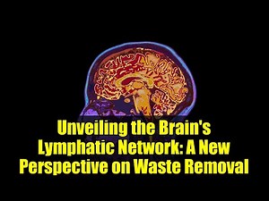 Unveiling the Brain's Lymphatic Network: A New Perspective on Waste Removal