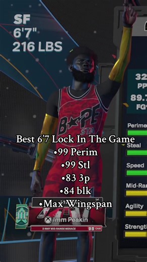 Top 6'7 Lock Player Build for NBA 2K