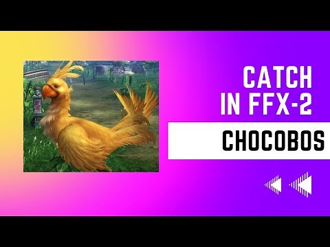 LESS TORTURE Catching Chocobos in FFX-2 [How to Catch Chocobos | Beginner's Guide]