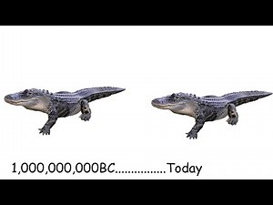 Watch how to sign 'had always been' in American Sign Language.