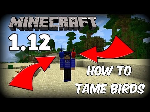 How to Tame Parrots in Minecraft 1.12! (PLEASE READ DESCRIPTION)