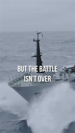 Sea Shepherd on Instagram: "From stopping whalers to standing up to the #krillfleet, we have proven that resistance works. But today, the stakes are higher than ever. As our crew prepares to head back to #Antarctica, the growing threat is putting whales and the entire Southern Ocean ecosystem at risk. Industrial krill fishing is expanding fast, while protections fall behind. To face this escalating crisis, laws must evolve, protections must be strengthened, and pressure from consumers and retail