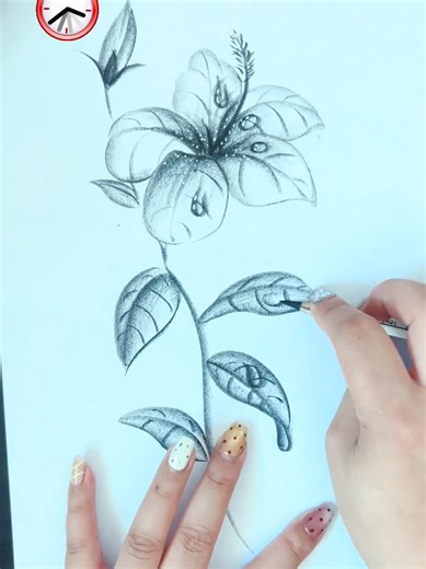 Master Pencil Drawing Techniques for Beginners