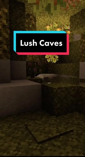 Exploring New Minecraft Cave Update with Axolotl and Warden