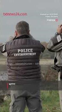 ফ্রান্সে বার্ড ফ্লুতে মারা পড়ছে অতিথি পাখি | bdnews24