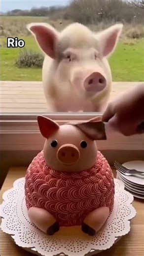 new video full funny