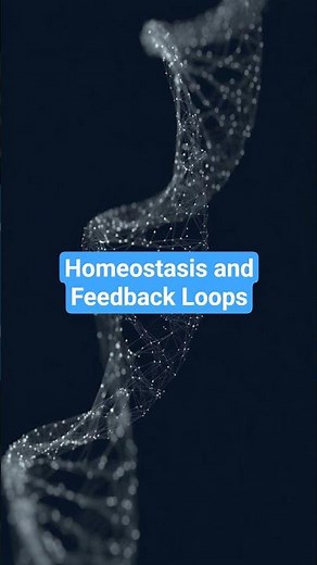 Homeostasis and Feedback Loops