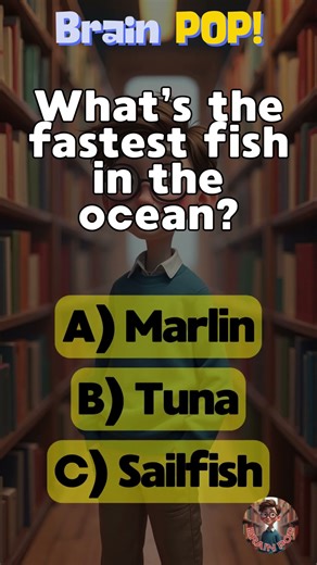 Test Your Ocean Animal Knowledge Now!
