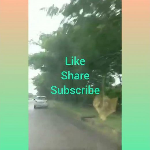 Natural beauty give piece of mind