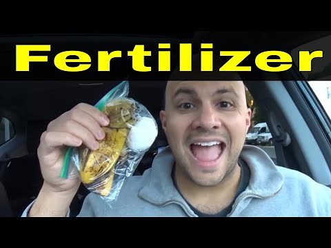 Egg Shell And Banana Peel Plant Fertilizer-Easy DIY Fertilizer Tutorial
