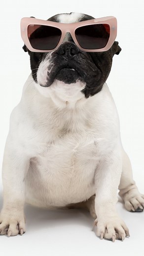 2.5K views · 20 reactions | MCM Eyewear - made for every face. #MCMSS24 | MCM | Facebook