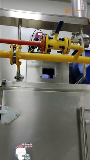 Peanut Roaster Performance: Achieving Perfect Color and Uniformity at 160°C #automatic #agriculture