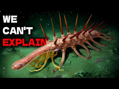 The Extinct Creature So Strange Scientists Couldn’t Explain