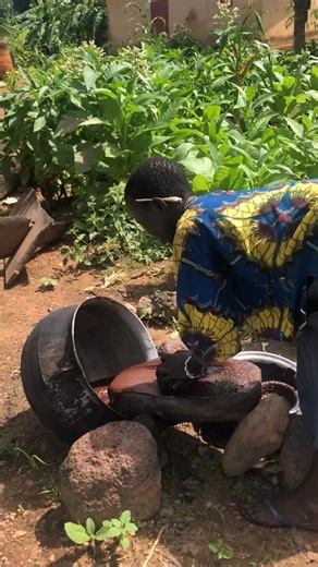 22K views · 82 reactions | Did You know how shea butter is made? :...